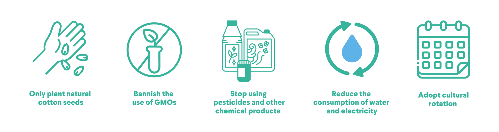 Organic cotton, an environmental innovation...